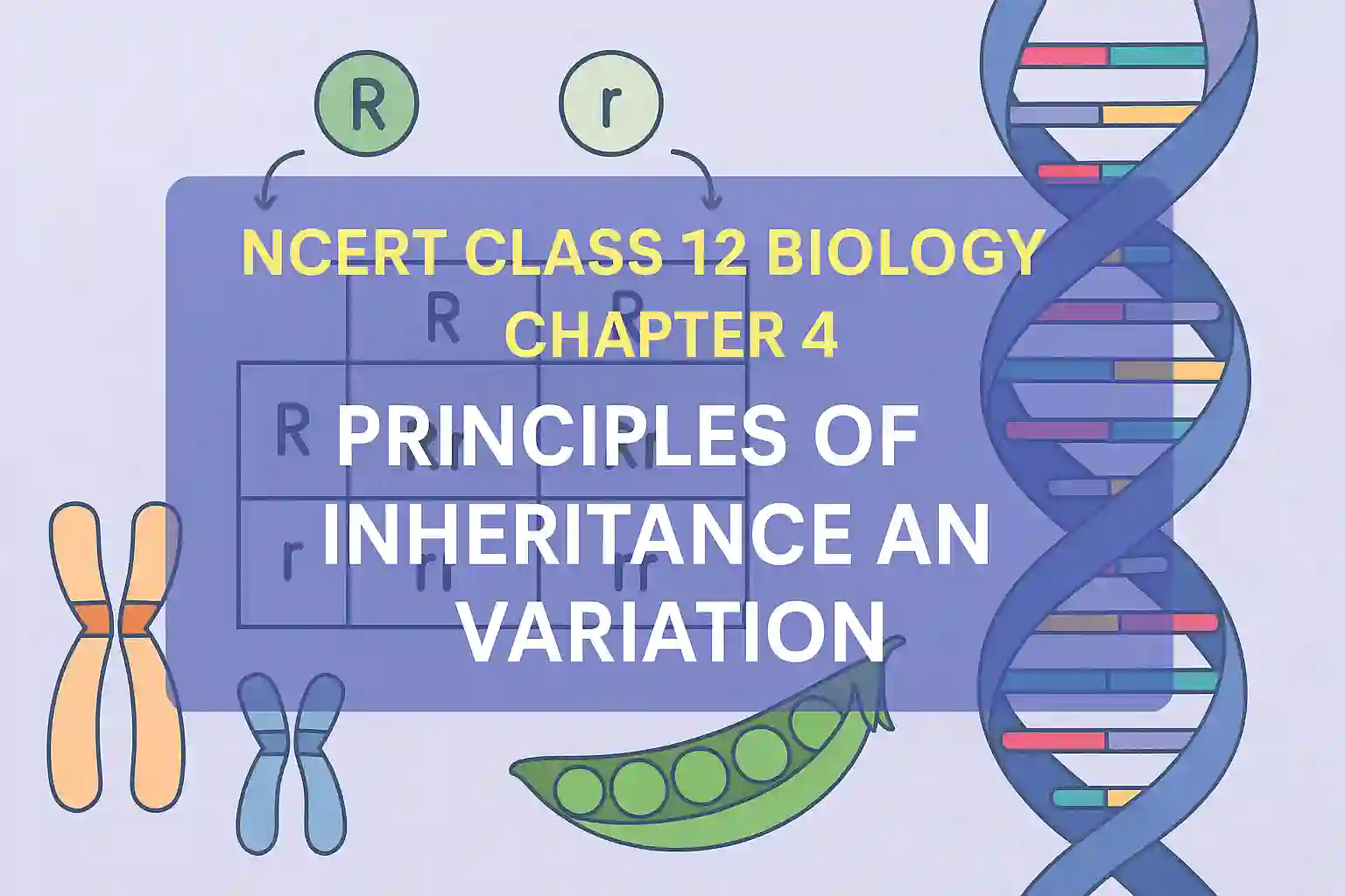 NCERT Class 12 Biology Chapter 4: Principles of Inheritance and ...