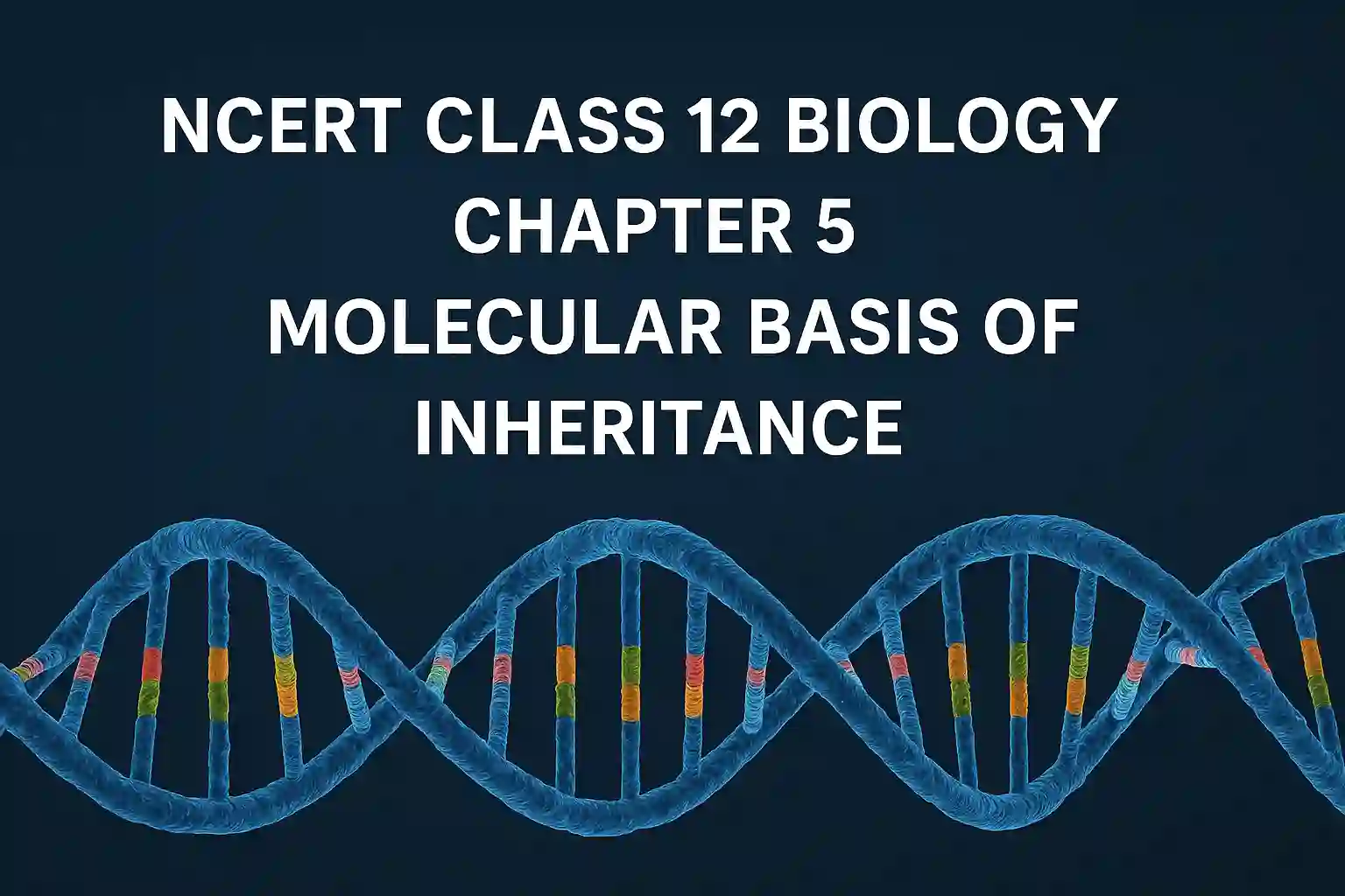 NCERT Class 12 Biology Chapter 5: Molecular Basis of Inheritance PDF ...