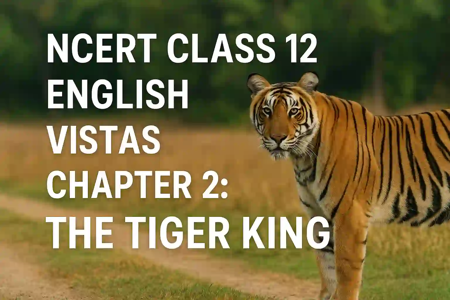 NCERT Class 12 English Vistas Chapter 2: The Tiger King PDF Download ...